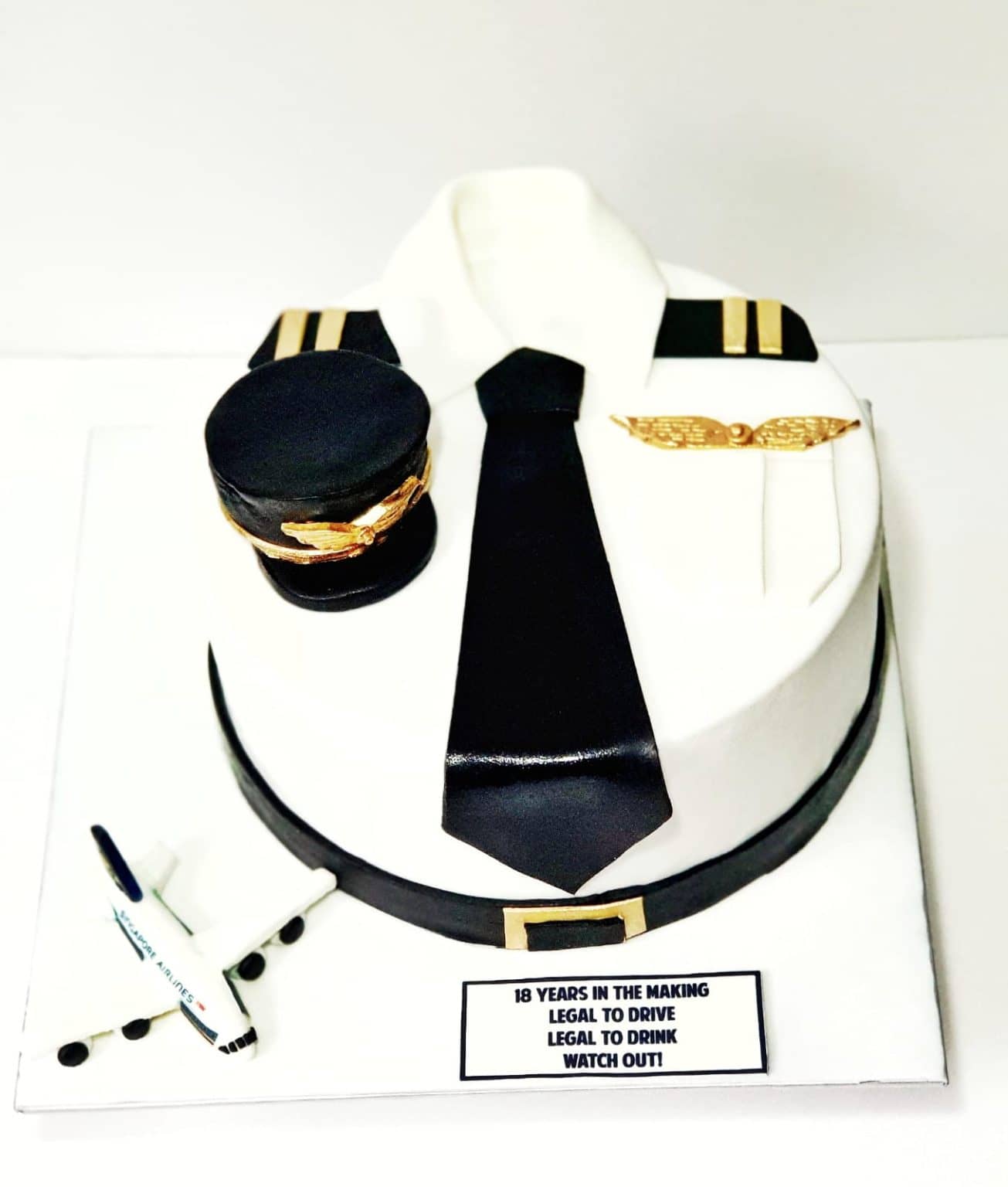 AVIATION THEME CAKE - More than cakes...